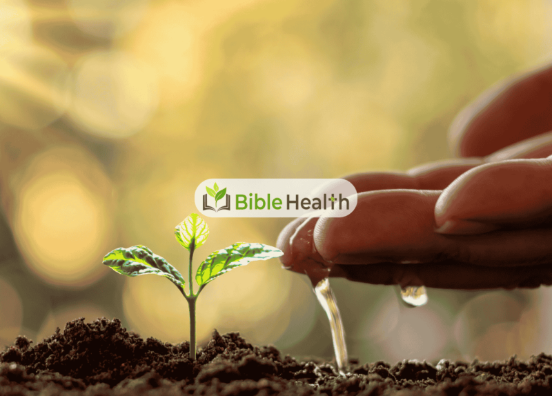 Survival Mode Trusting God and Reaching For His Plan