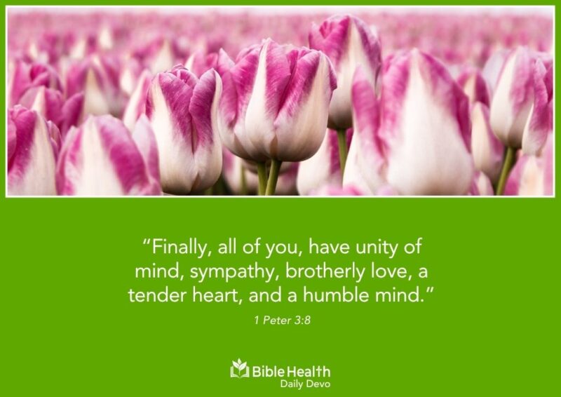 One Mind, One Heart - Bible Health