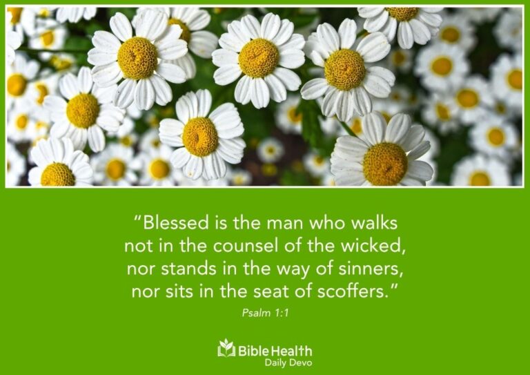 The Blessed Life - Bible Health