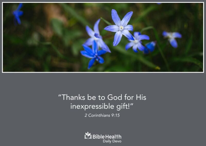 God’s Indescribable Gift - Bible Health