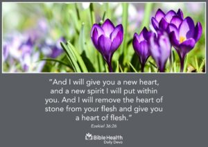 A New Heart and Spirit - Bible Health