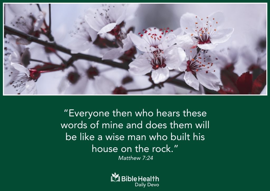 Building Habits That Last - Bible Health