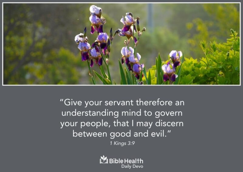 A Heart That Can Discern - Bible Health