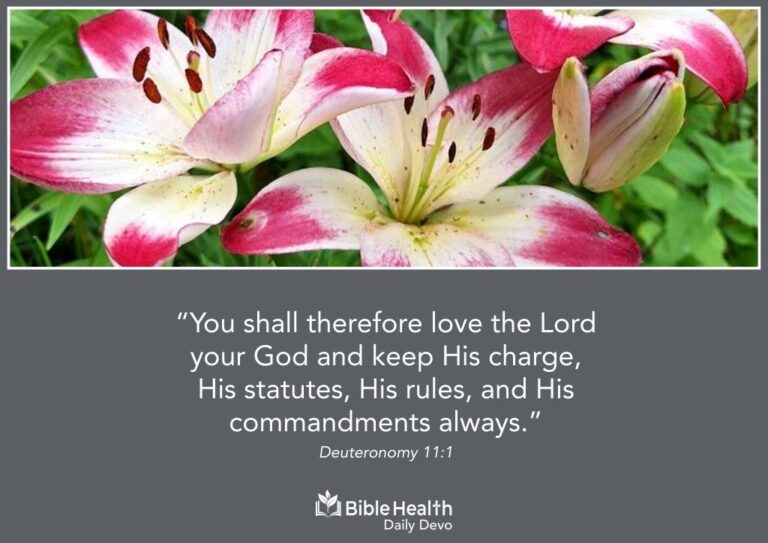 Chosen for Obedience - Bible Health